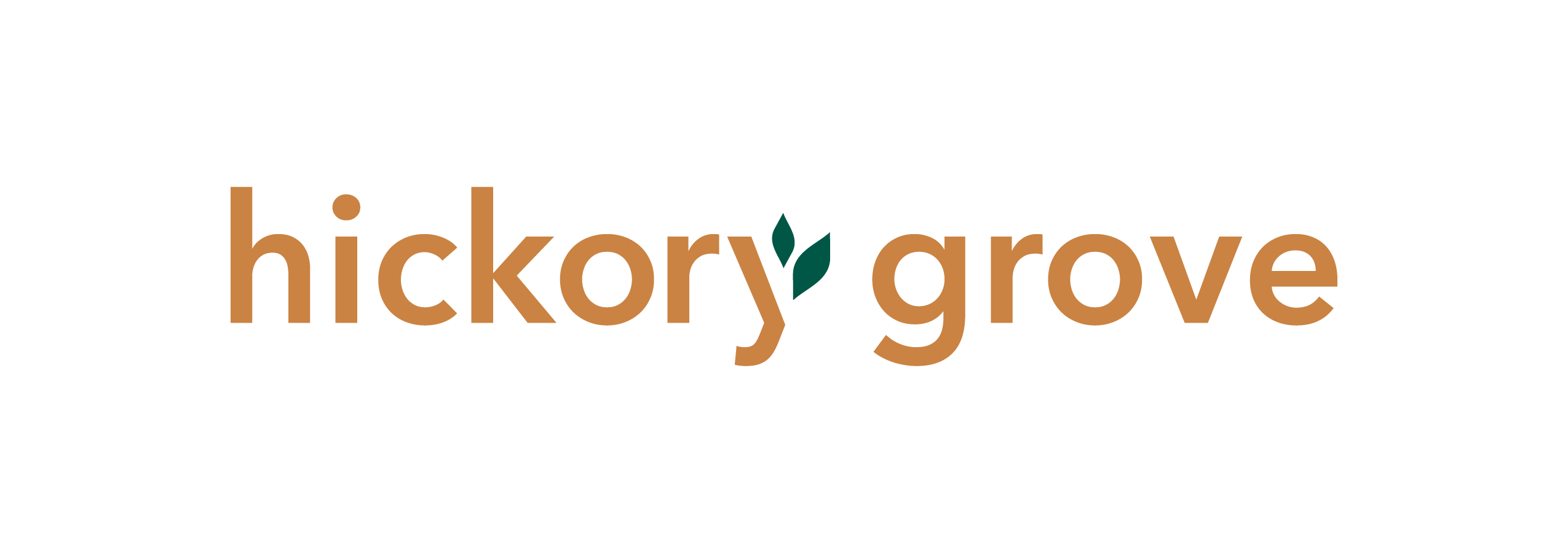 Andrews 5 bedroom homes for sale in Sanford at Hickory Grove