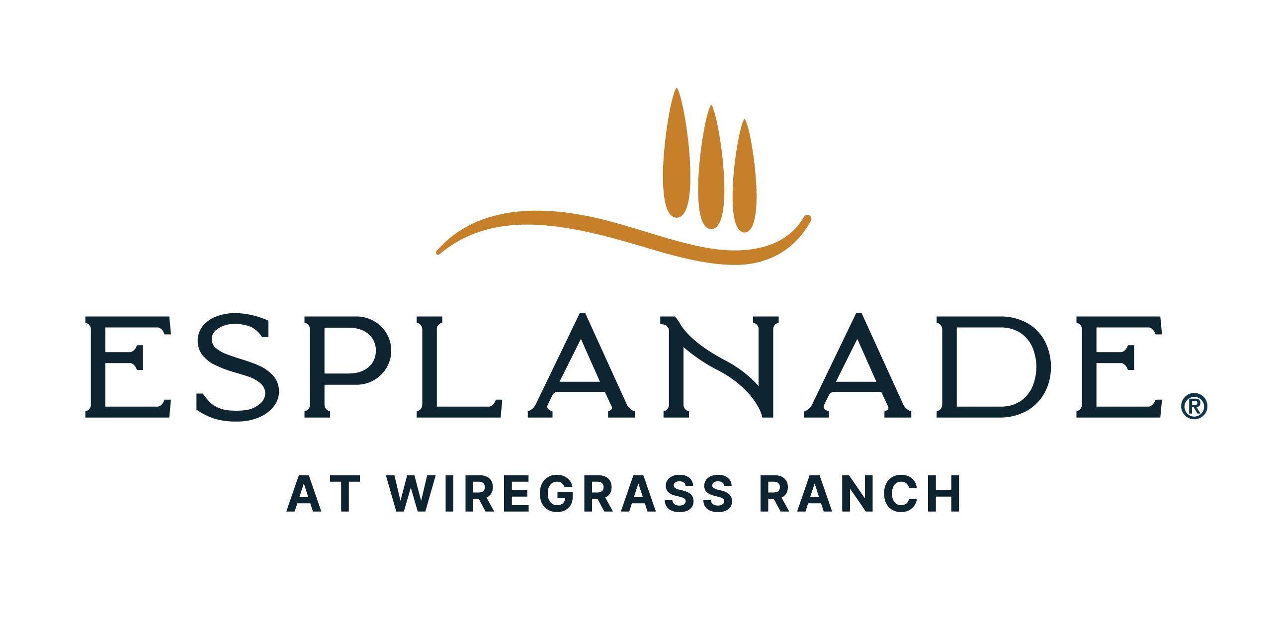 Esplanade at Wiregrass Ranch, a 55+ Community in Wesley Chapel, FL ...