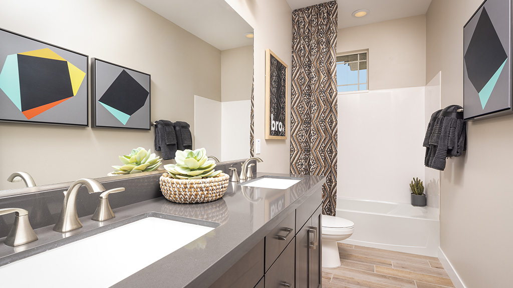 Acadia at Stonehaven Voyage Collection in Glendale, AZ - Taylor Morrison