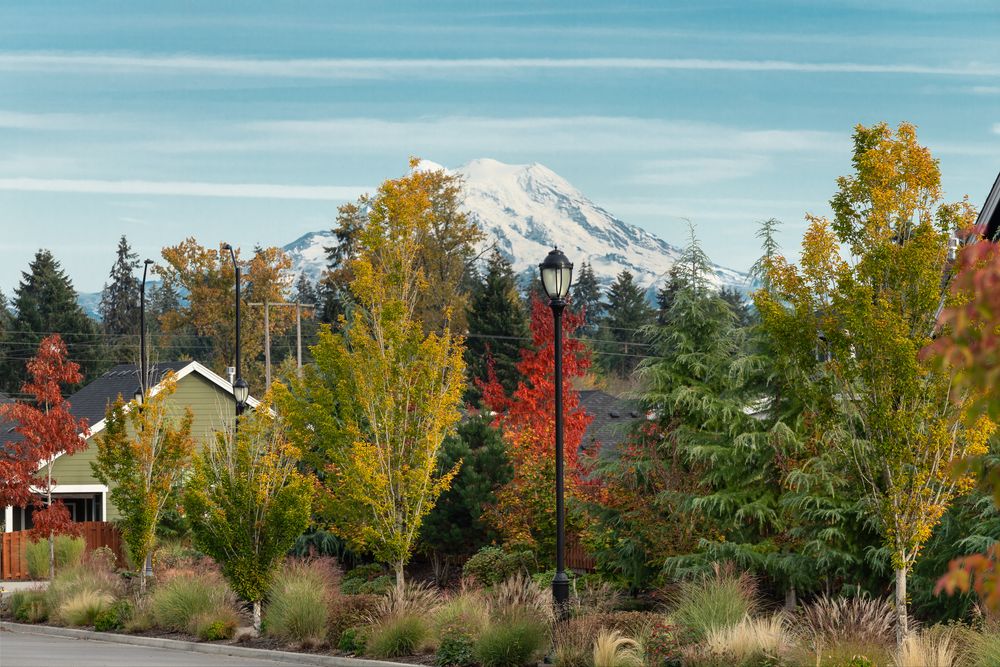 Ovation at Oak Tree, a 55+ Community in Lacey, - Taylor Morrison