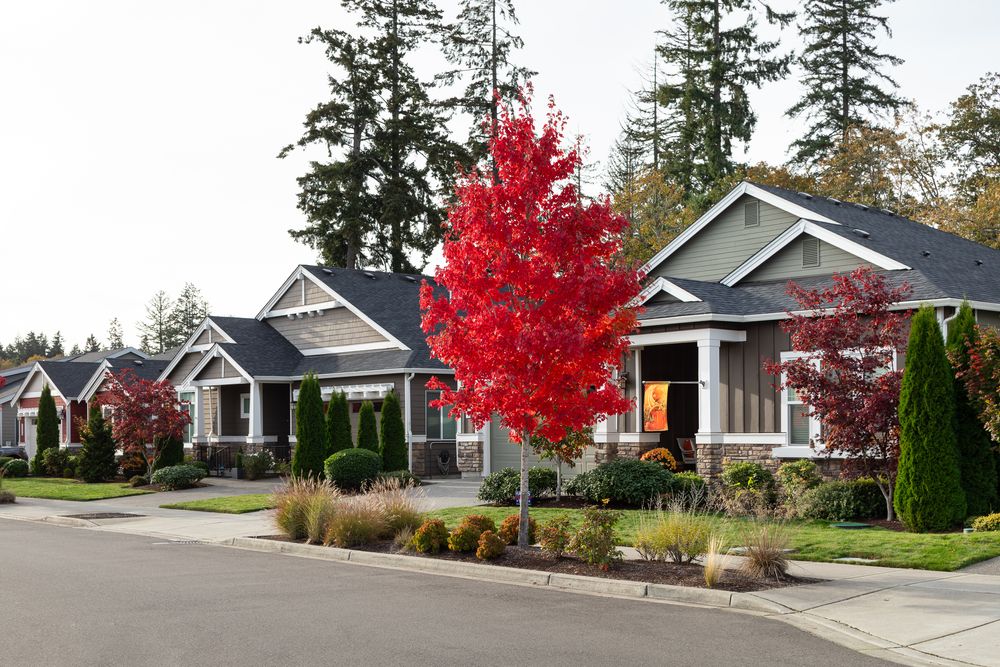 Ovation at Oak Tree, a 55+ Community in Lacey, - Taylor Morrison