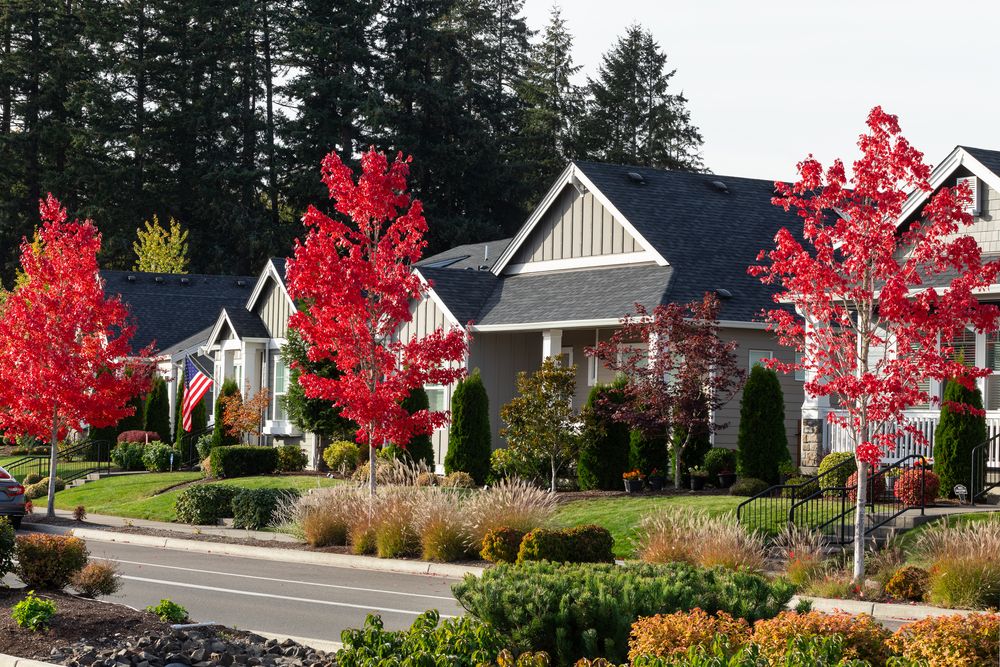 Ovation at Oak Tree, a 55+ Community in Lacey, - Taylor Morrison