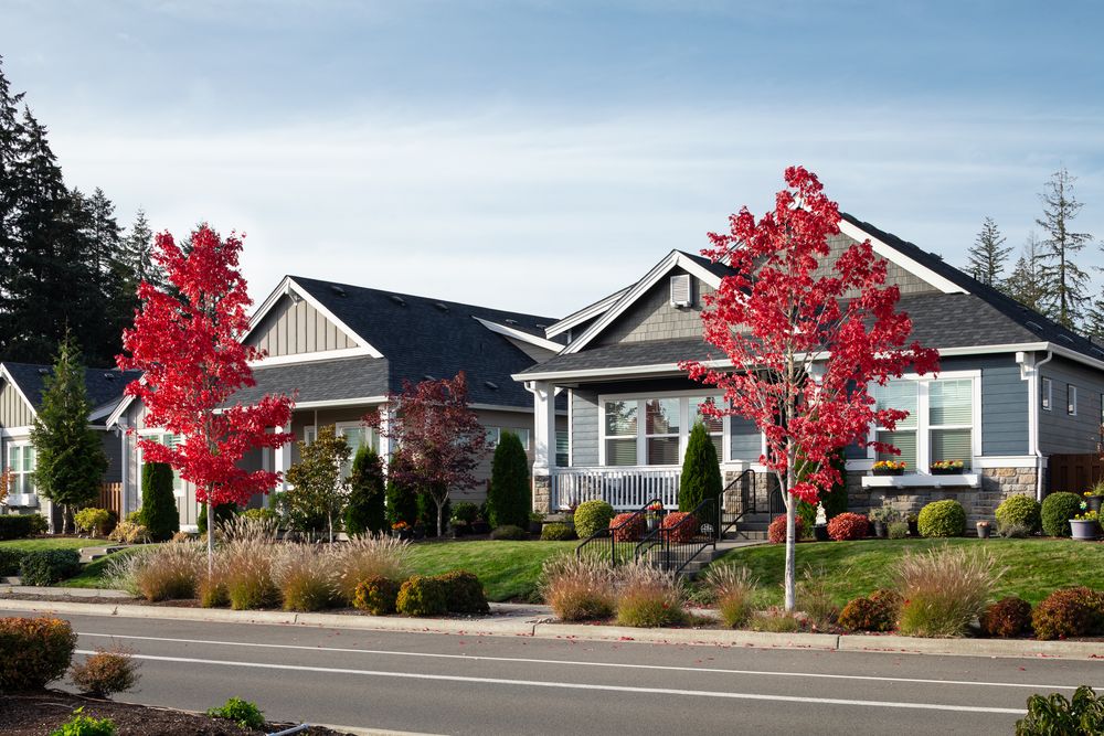 Ovation at Oak Tree, a 55+ Community in Lacey, - Taylor Morrison