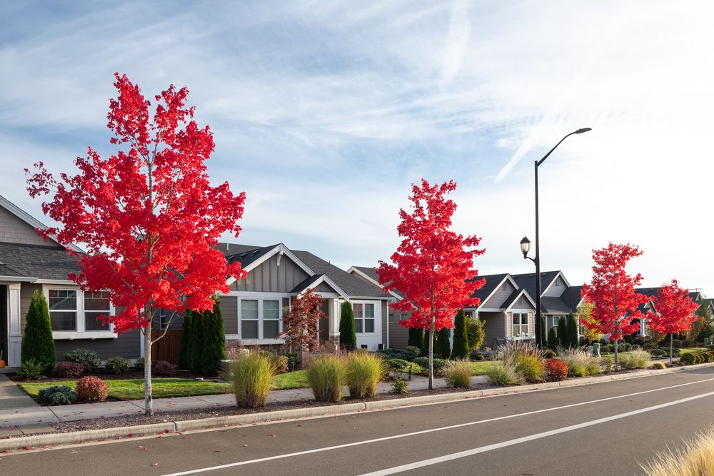 Ovation at Oak Tree, a 55+ Community in Lacey, - Taylor Morrison