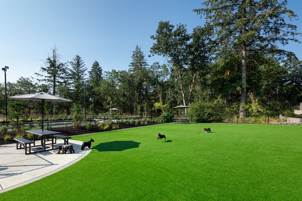Ovation at Oak Tree, a 55+ Community in Lacey, - Taylor Morrison