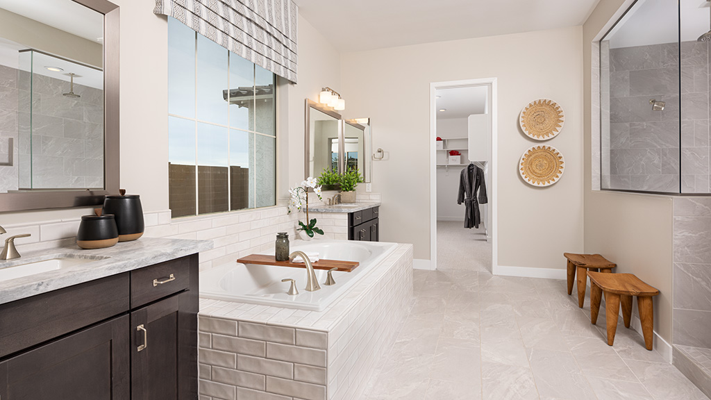 Queen Creek, Arizona Homes for Sale at Ellsworth Ranch Capstone ...