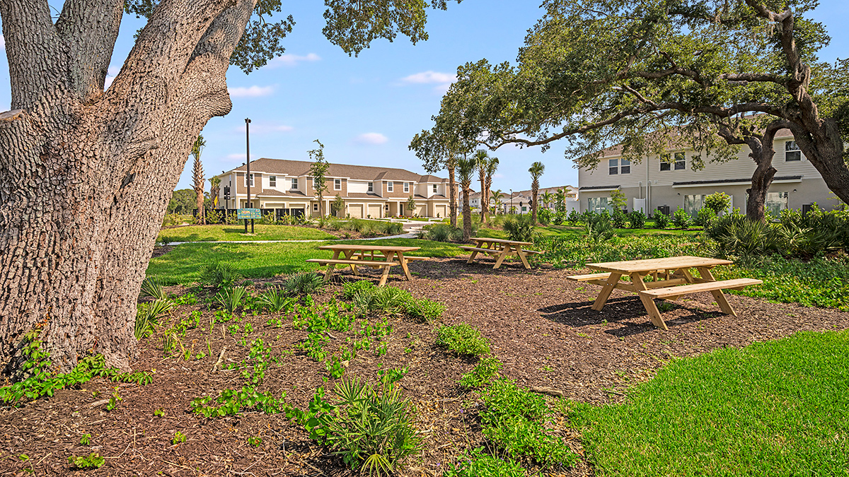 Taylor Morrison | Home Gallery | Homes for Sale | Vinterra Townhomes ...